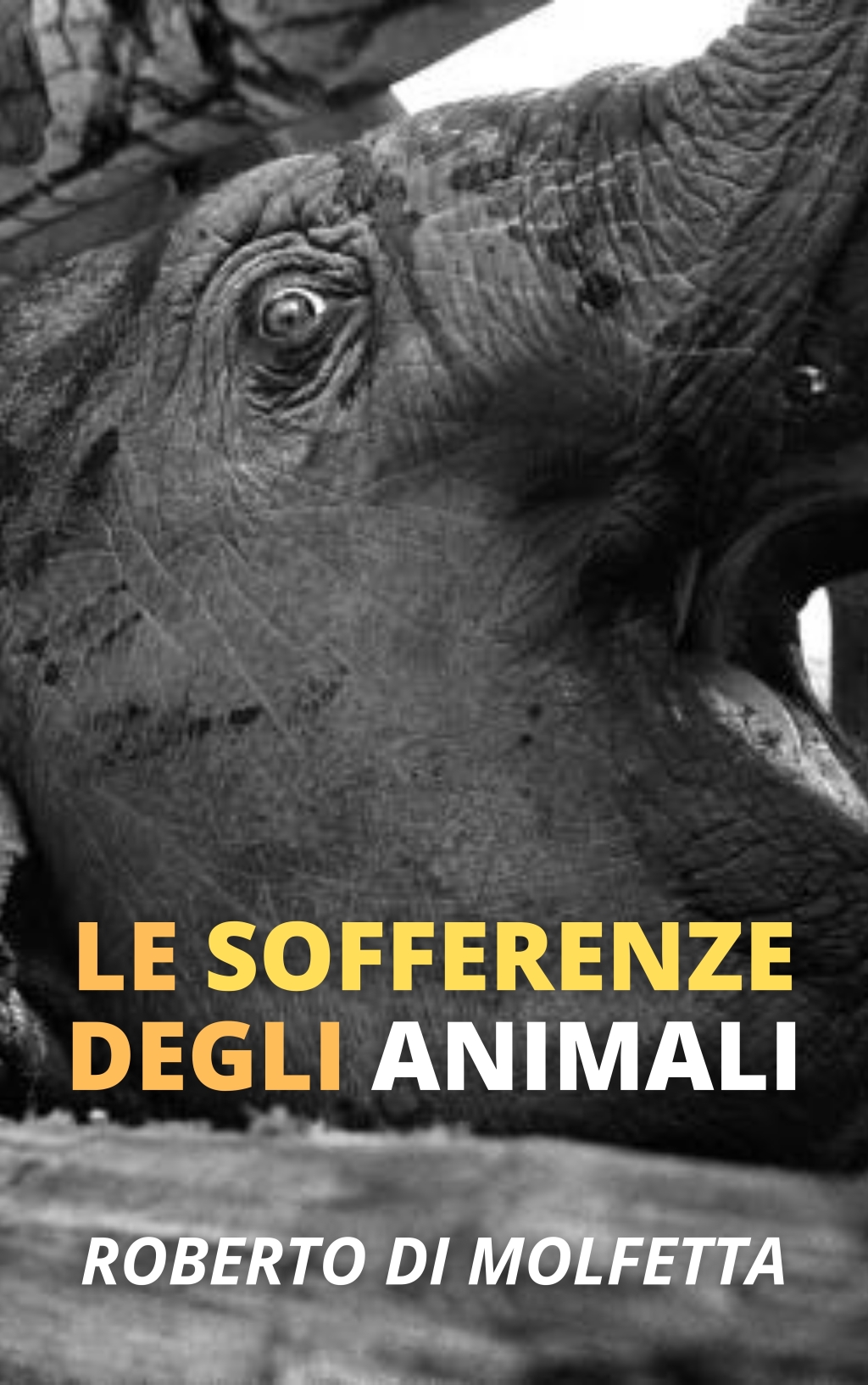 Roberto Di Molfetta | Web Marketing & Libri