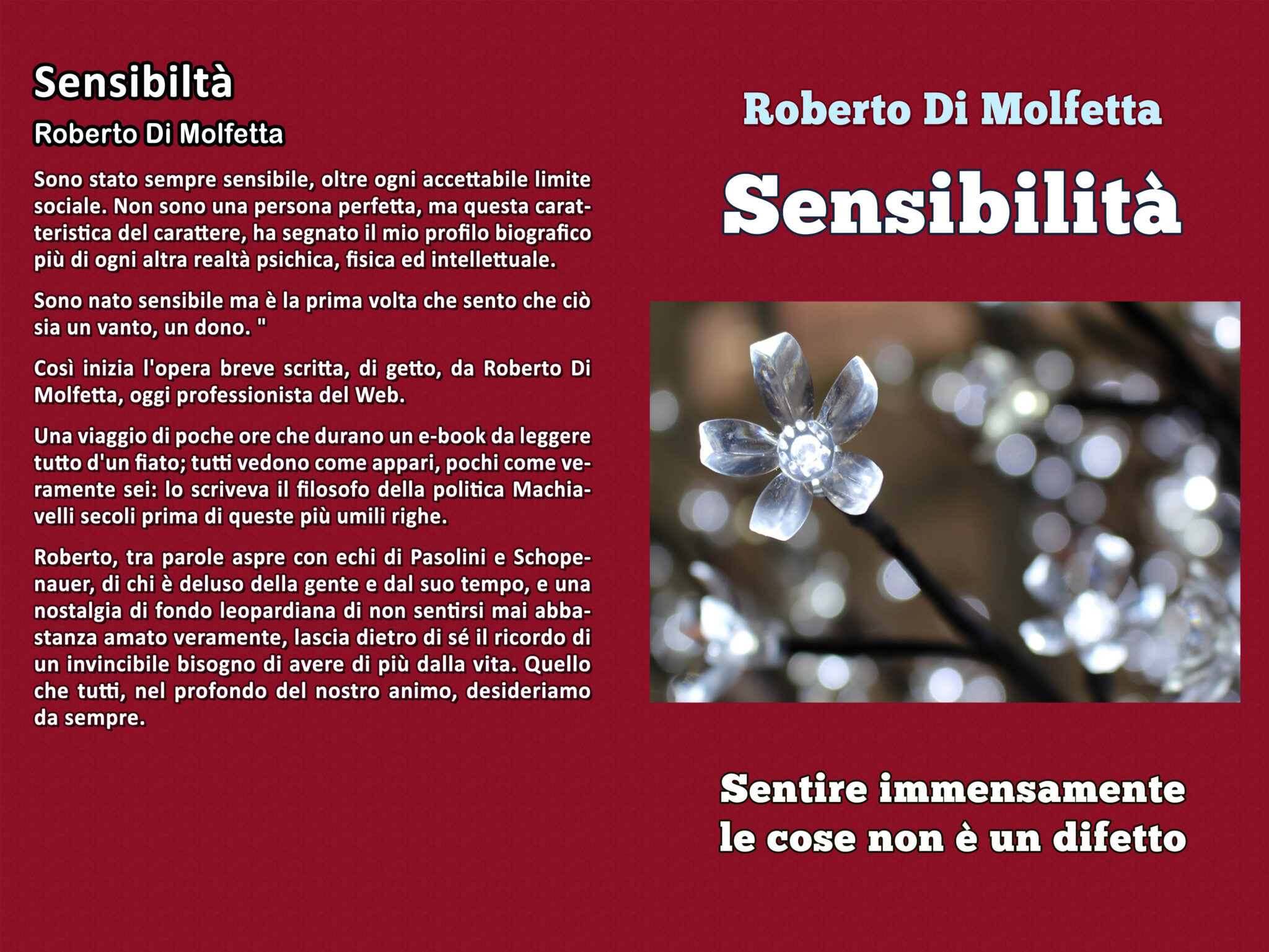 Roberto Di Molfetta | Web Marketing & Libri
